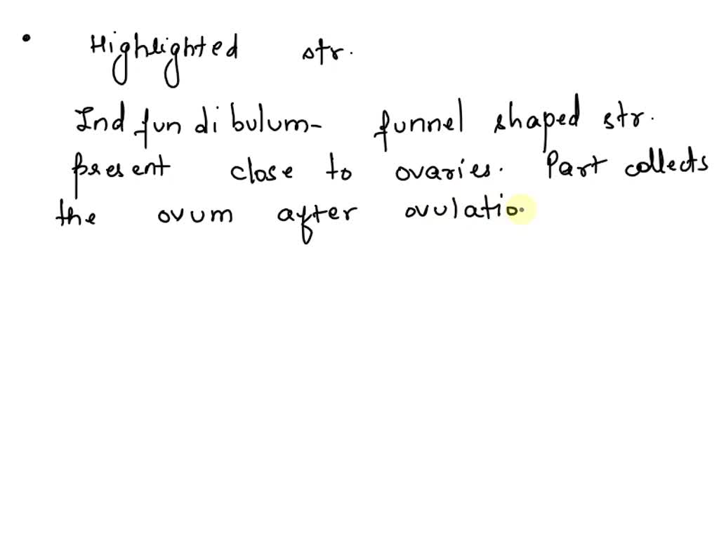 SOLVED: PAL: Models > Endocrine System > Lab Practical > Question 5 PAL ...