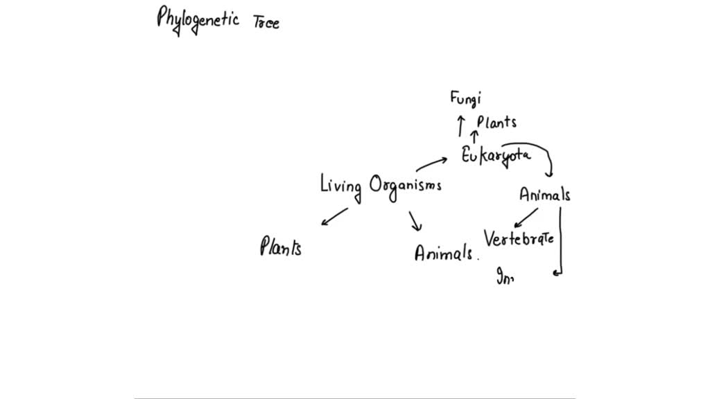 SOLVED: You should identify dimensions, map dimensions to data sources ...
