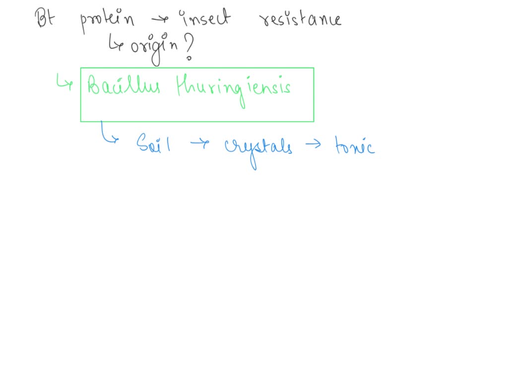 SOLVED: The Bt protein has been used to increase insect resistance in ...