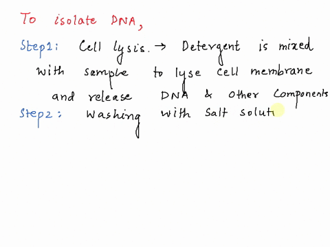 What is the role of the spin filter in the dna purification...