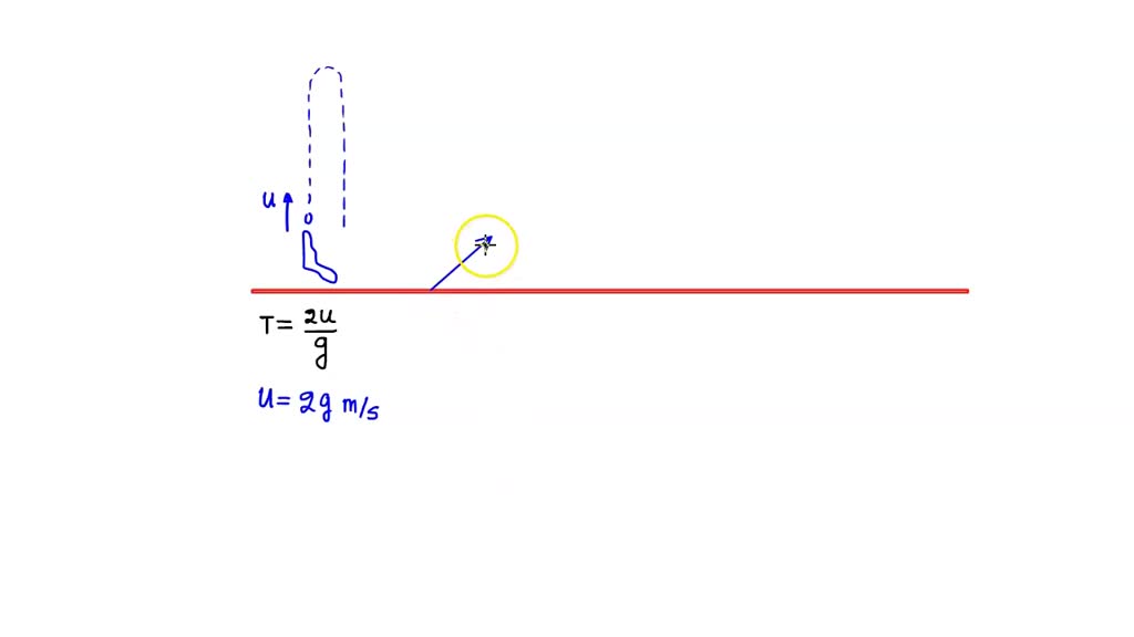 SOLVED: You shoot a plastic dart gun vertically and wait for the dart ...