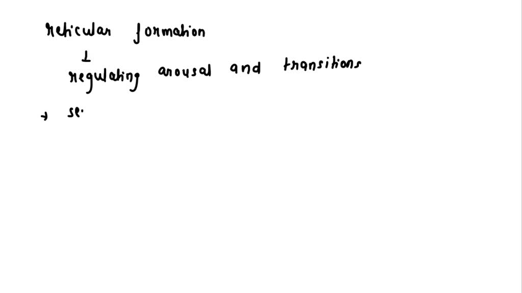 SOLVED: The reticular formation is involved in: - relaying sensory ...