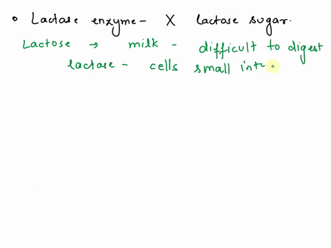 3. How can taking Lactaid help someone who is lactose...