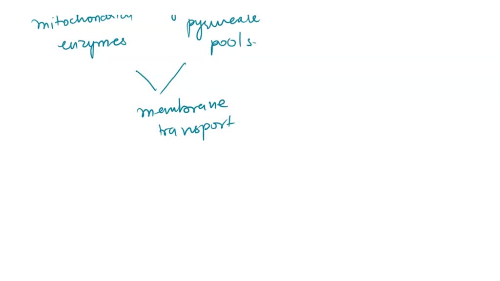 SOLVED: Is it possible, using the reactions and enzymes found in the ...