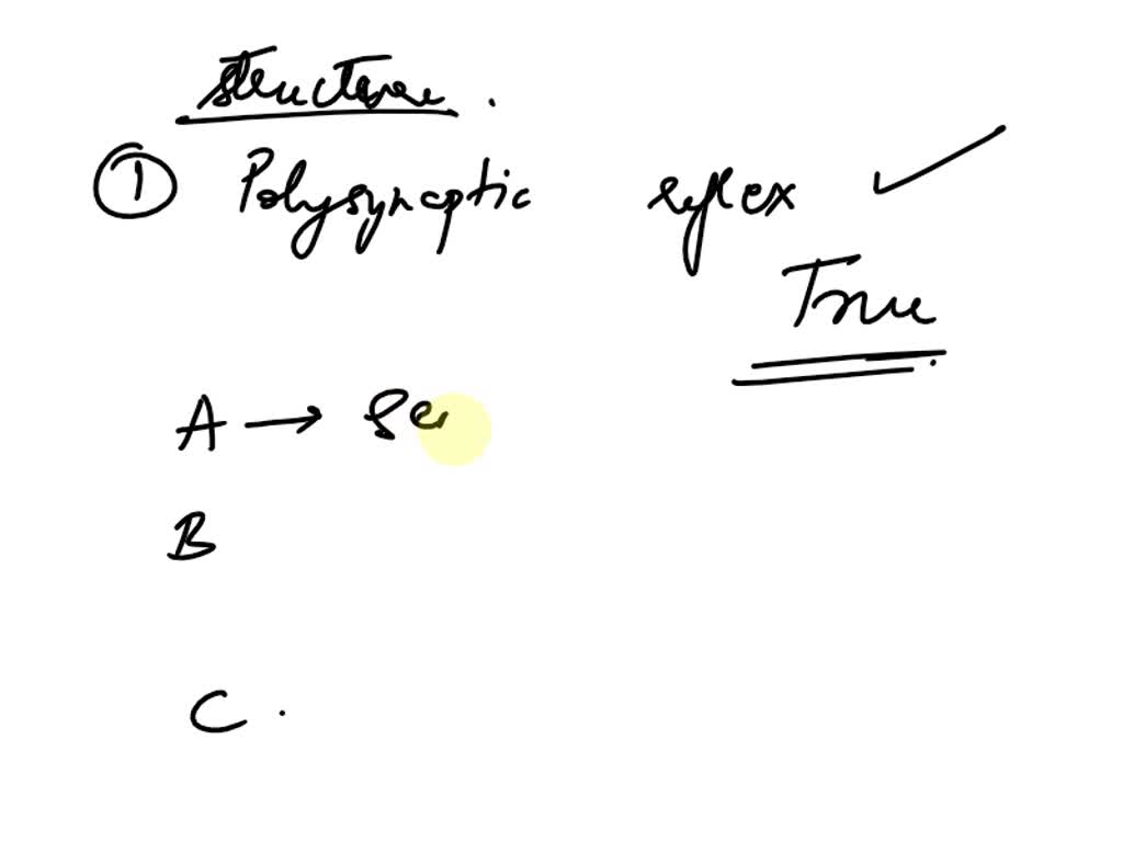 SOLVED: True or false: the image on the left shows the structural organization of a polysynaptic ...