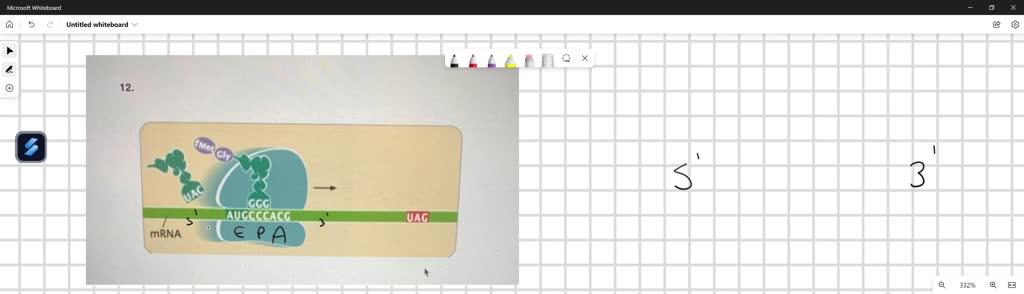 SOLVED: Translation Labeling Concepts Please refer to the translation ...