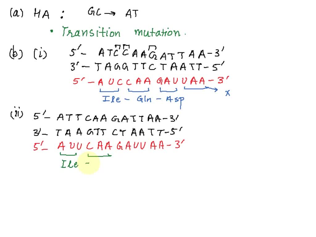 SOLVED: 7. 12 marks) HA (hydroxylamine) causes GC to AT mutations ...