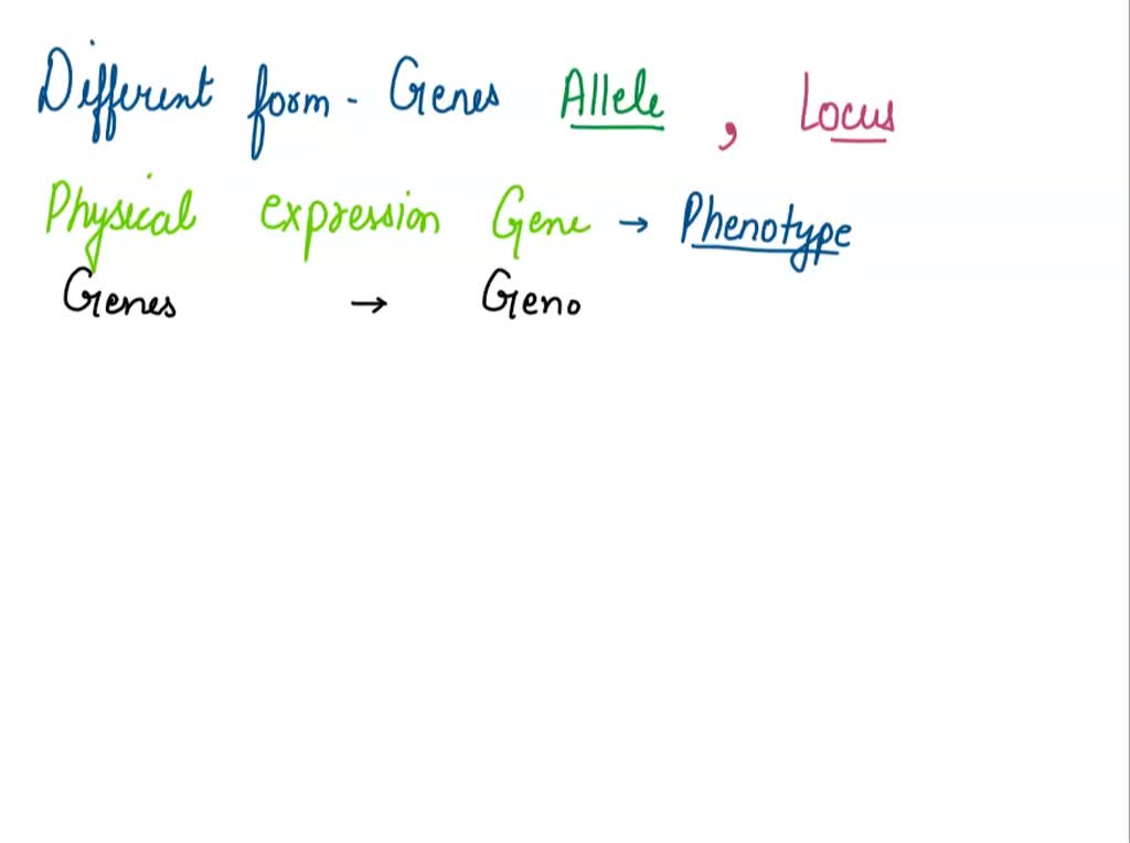SOLVED: Use the terms below to complete the sentences Dominant genotype ...