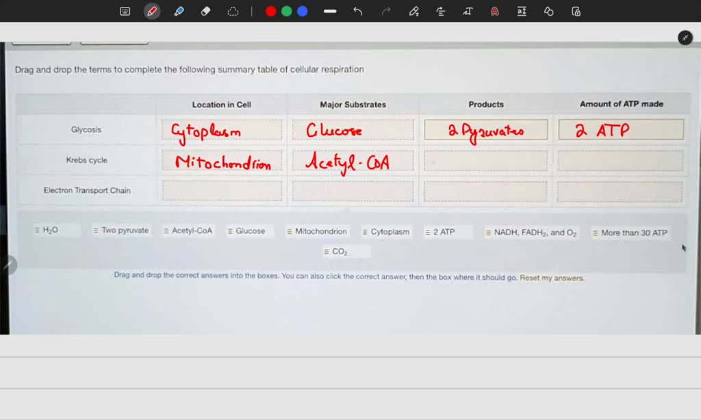 SOLVED: Text: Drag and drop the terms to complete the following summary table of cellular ...