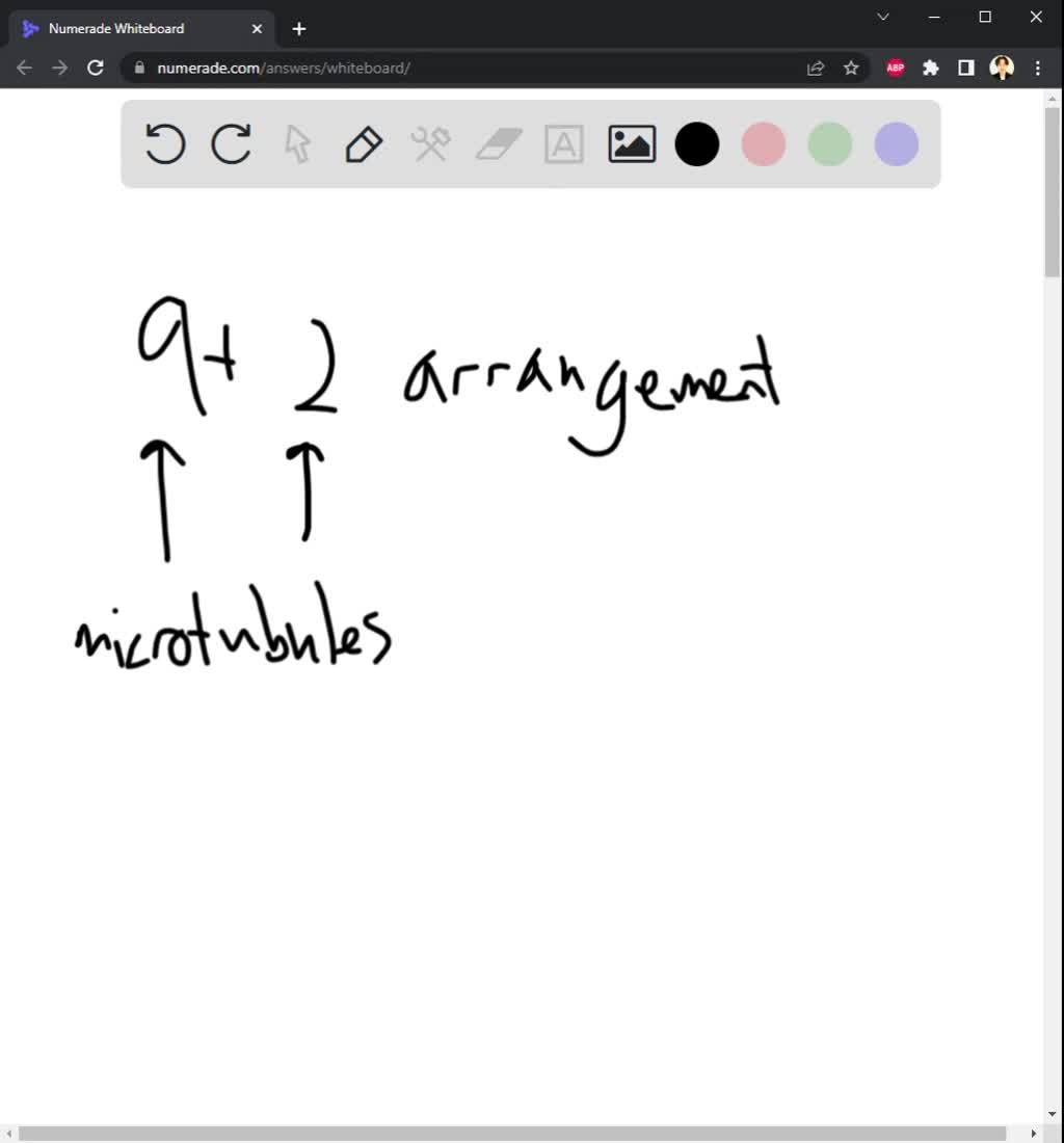 SOLVED: Which does not describe eukaryotic flagella? 9+2 arrangement of ...