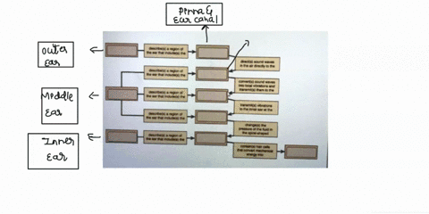Complete the Concept Map to describe the sound conduction pathway to ...