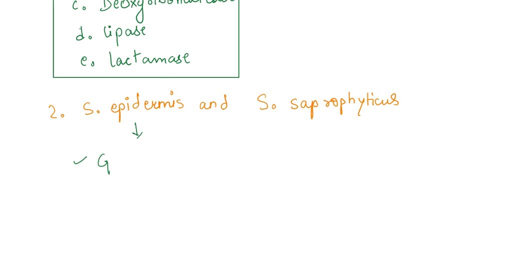 SOLVED: Texts: 1. Describe how to differentiate Staphylococcus aureus ...