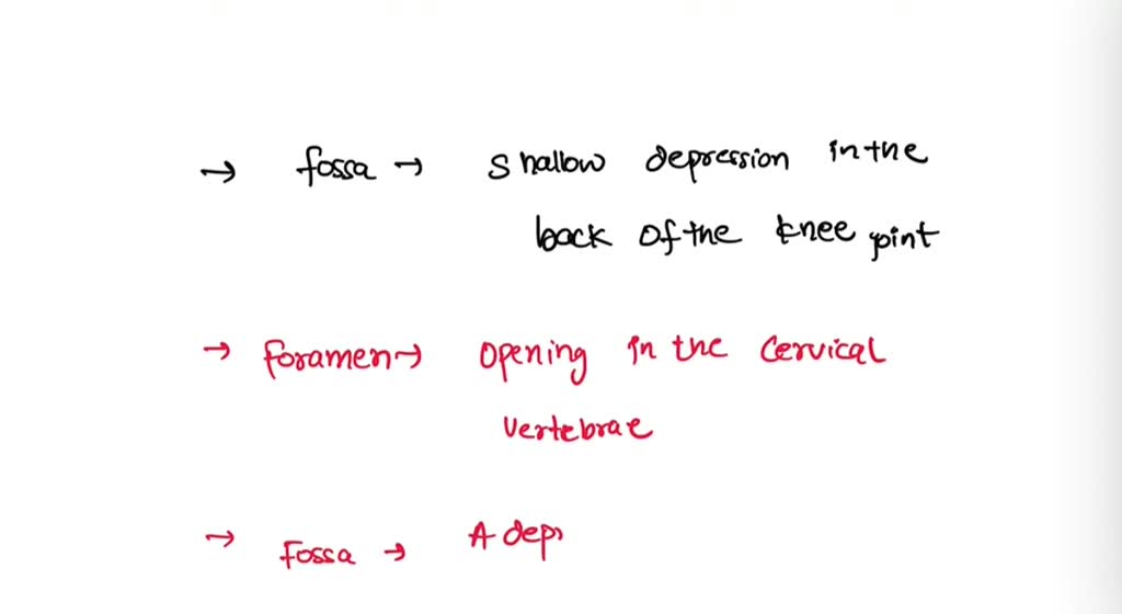 SOLVED: Match the following examples to the correct type of bone ...