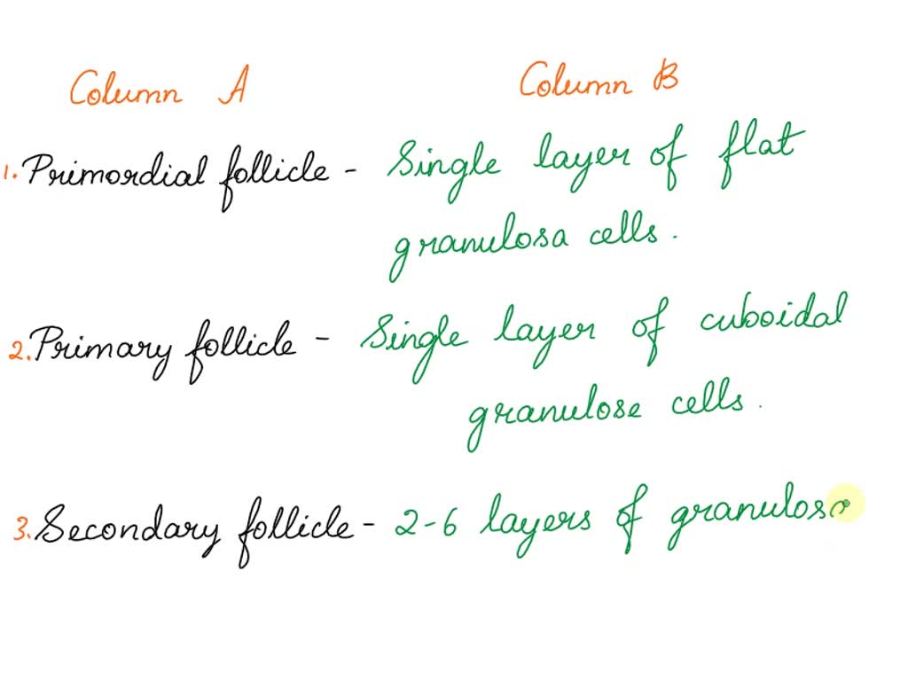SOLVED: 'Identify: Colloidal follicle, colloid, follicle cells ...
