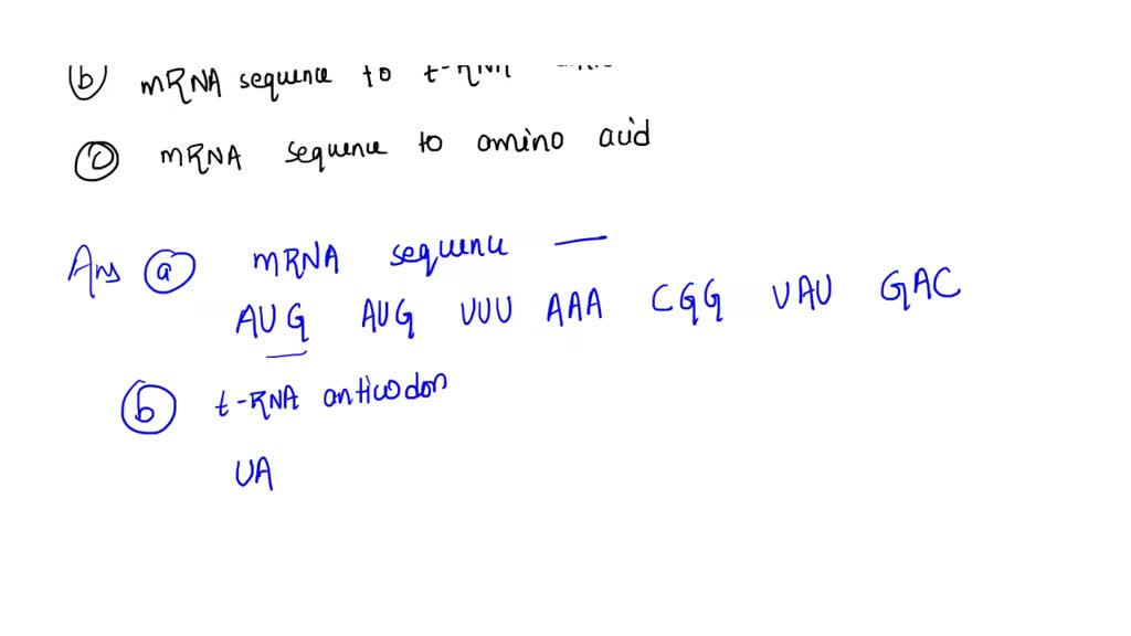 a) DNA sequence: TAC TAC AAA TTT GCC ATA CTG: Transcribe the DNA into ...