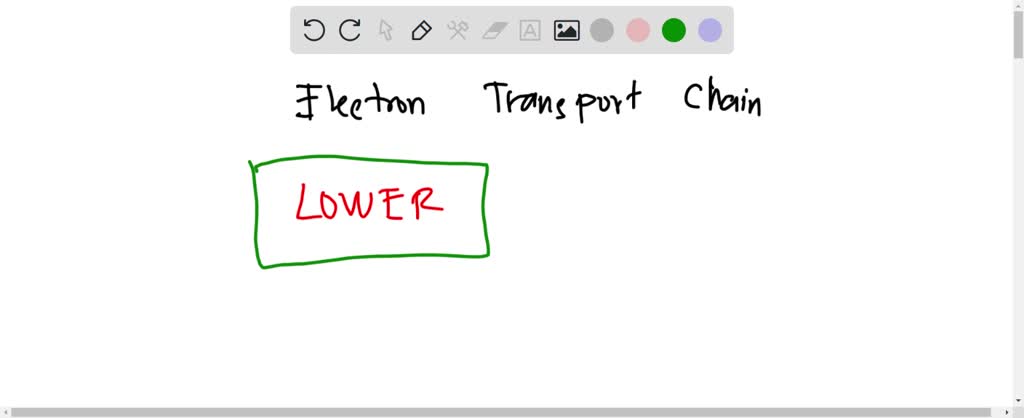 SOLVED: Question 3 3 pts Complexes |-IV are part of the electron ... SOLVED: Question 3 3 pts Complexes |-IV are part of the electron ...