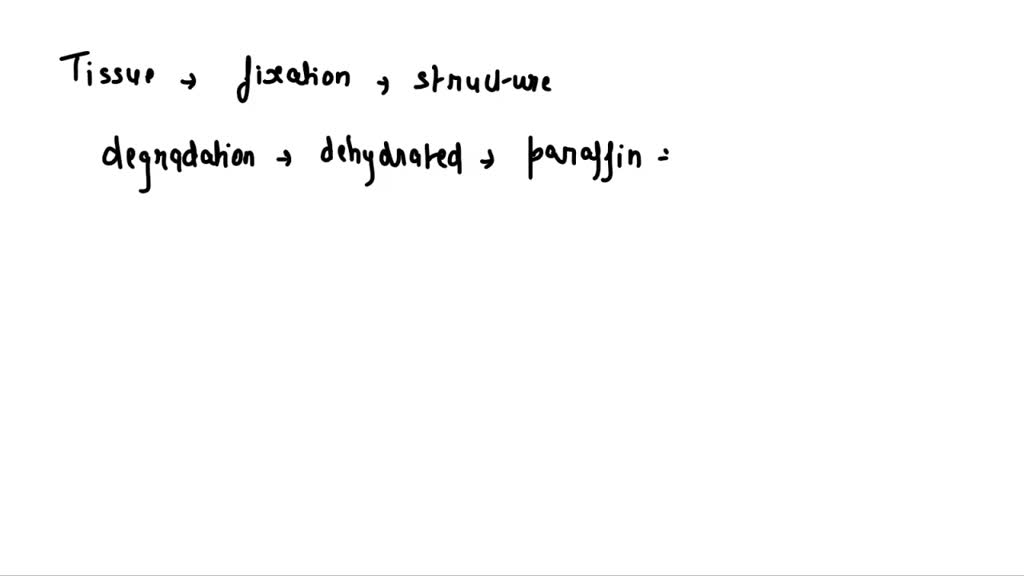 SOLVED: During the preparation of a routine H E slide, what step occurs ...