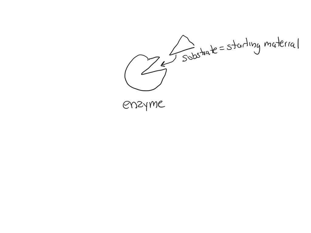 In an enzyme-controlled reaction, a substrate is the same as A) none of the answer choices are ...