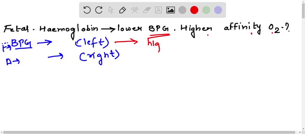 SOLVED: Explains the differences between fetal hemoglobin (HbF) and ...