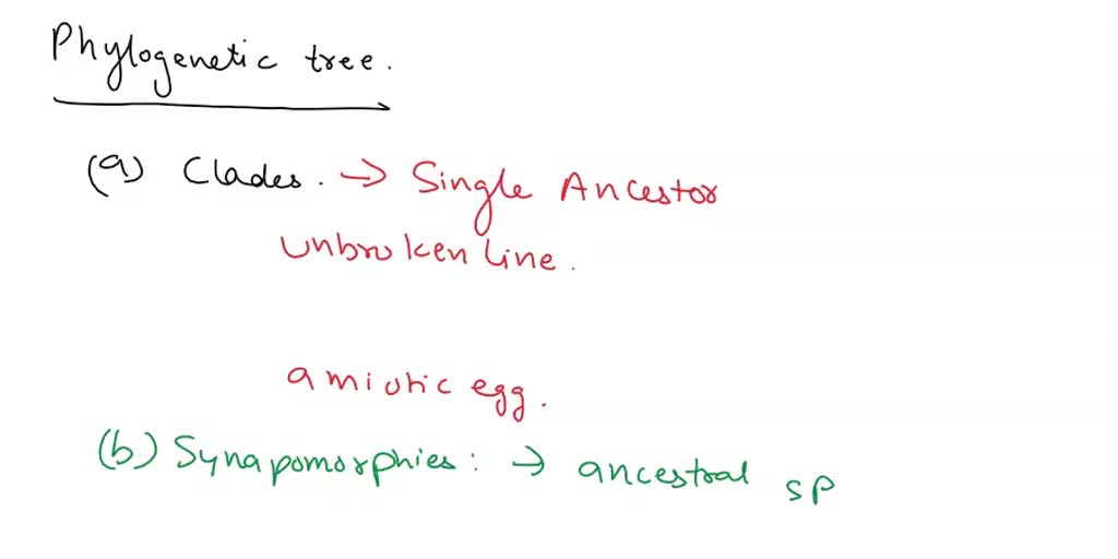 SOLVED: In the phylogeny below, aposematic clades are shaded. Branches ...