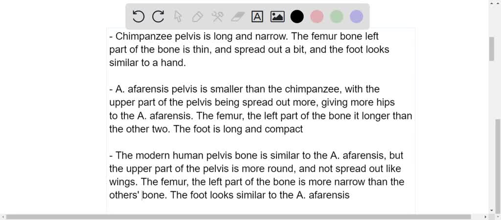 SOLVED: 1 Compare the pelvis, the femur; and the foot of a chimpanzee ...