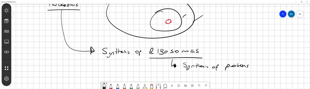 SOLVED: A cell has a problem where mitochondria are not able to ...