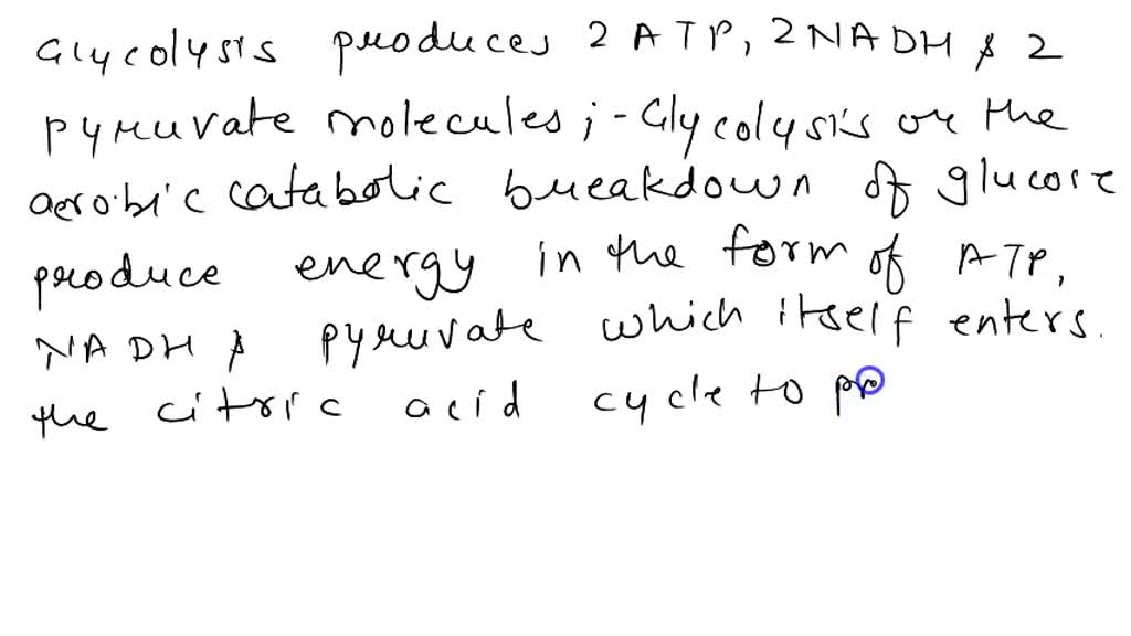 SOLVED Convert The Creatinine Level 0 93 Mg dL Into Mmol L SOLVED Convert The Creatinine Level 0 93 Mg dL Into Mmol L