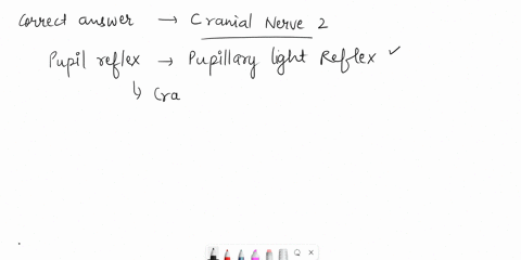 The pupil reflex checks the sensory function of what cranial...