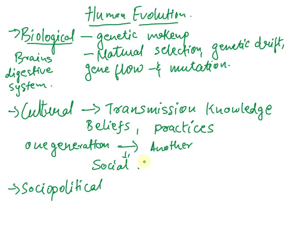 SOLVED: Make a comparison of Biological Process in Human Evolution ...