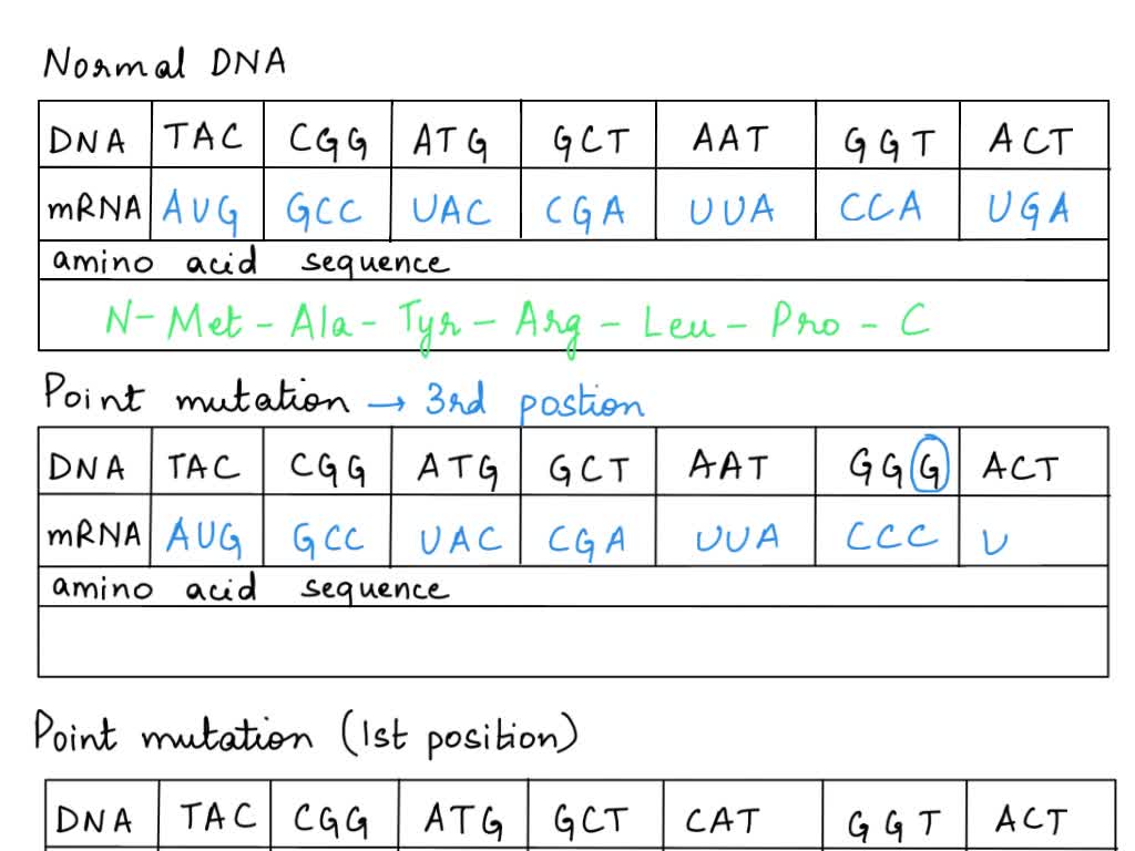 SOLVED:Gene Expression and DNA Technology (15 points) Instructions Fill in the aPpropruate mRNA ...