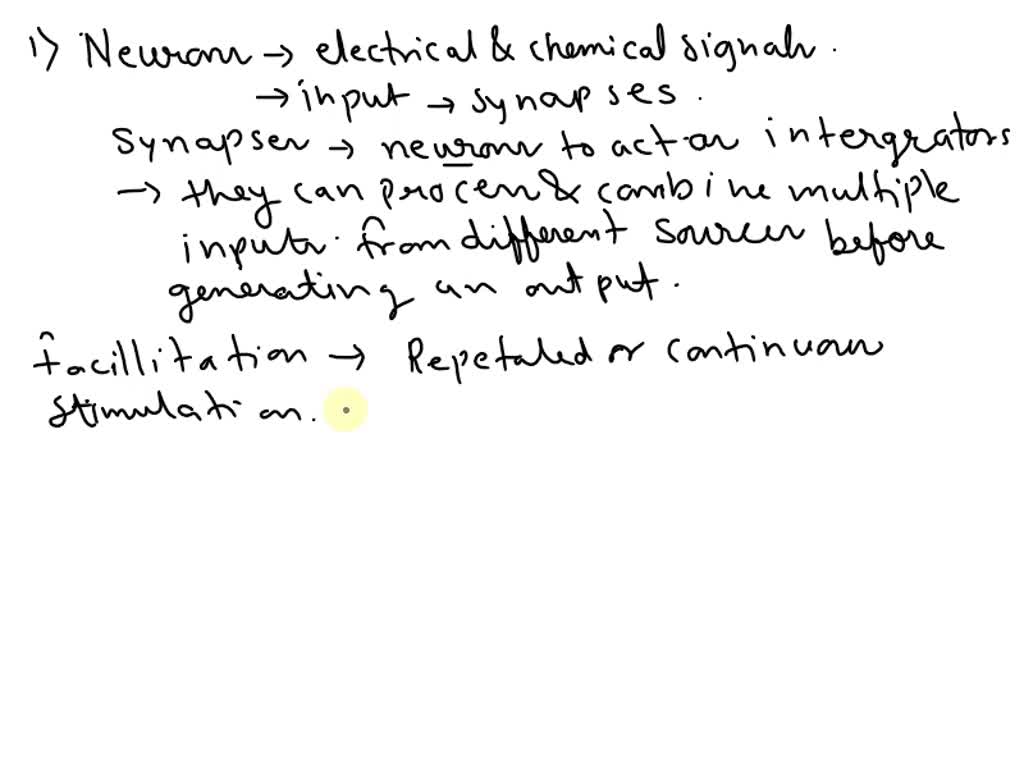Solved Explain How Synapses Allow Neurons To Act As Integrators