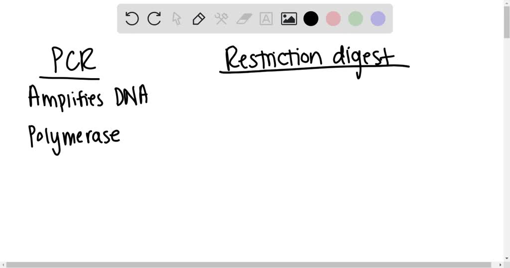 SOLVED: In this lab we cleaned up our PCR reaction and our two ...