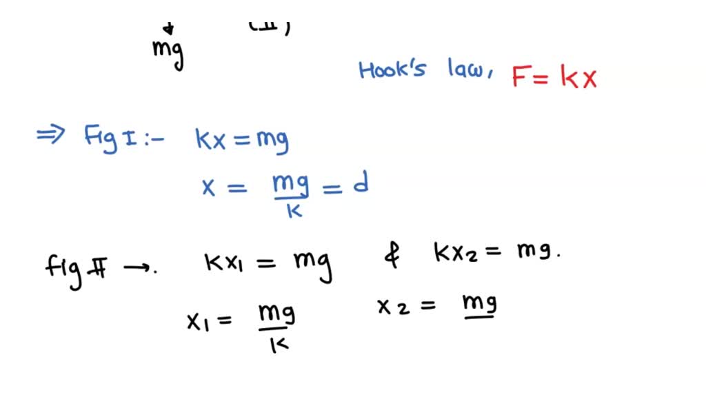 SOLVED: two identical springs, each with a spring force constant k, are ...