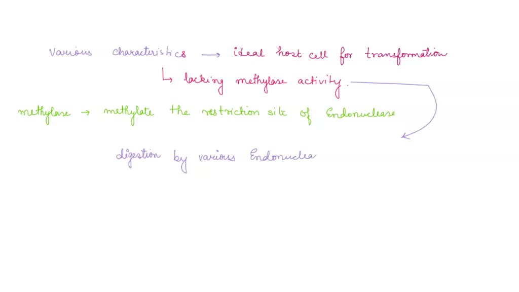SOLVED: Pigment Color Wavelengths absorbed: absorbs blue color at 430nm ...