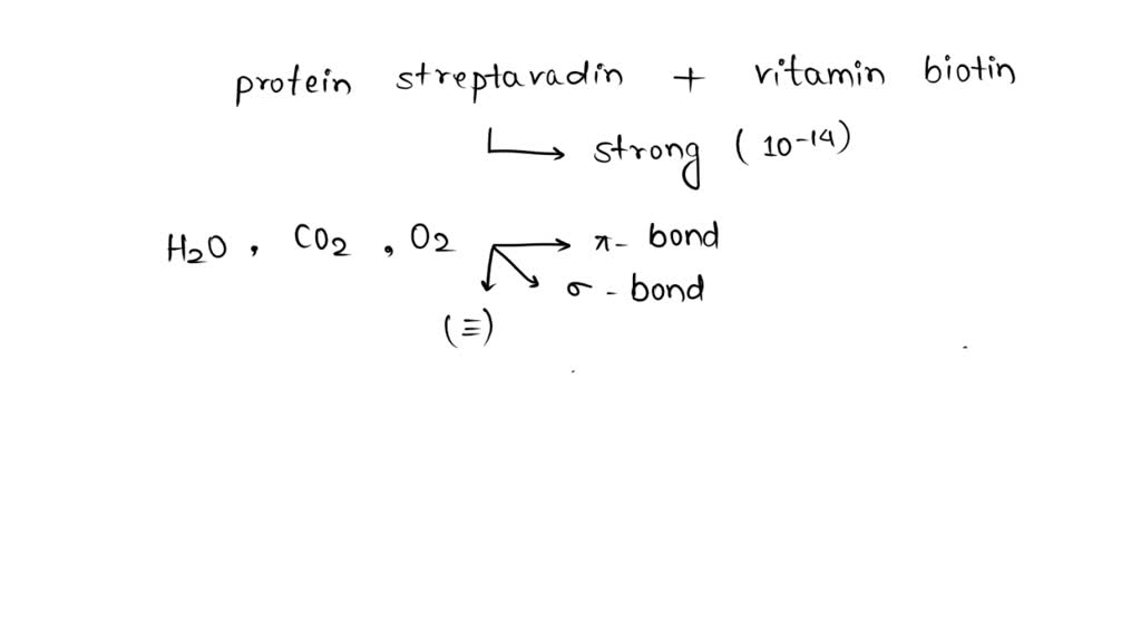 SOLVED 2 Reagents Bind To The Functional Group Of Biological solved-2-reagents-bind-to-the-functional-group-of-biological