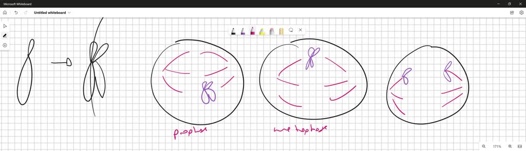 SOLVED: While looking at a cell under a microscope you notice there is ...