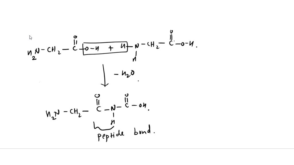 SOLVED: The figure shown below is the structure of the dipeptide Val ...