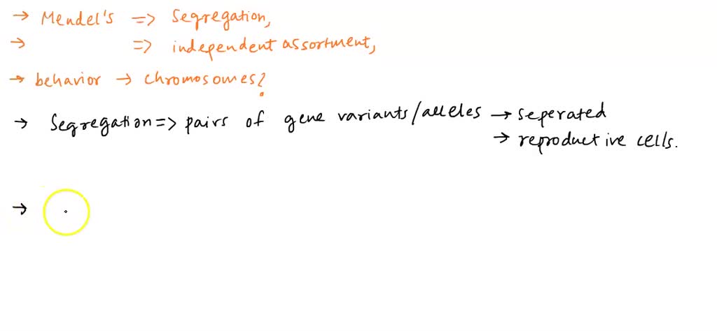 Independent Assortment Mendel