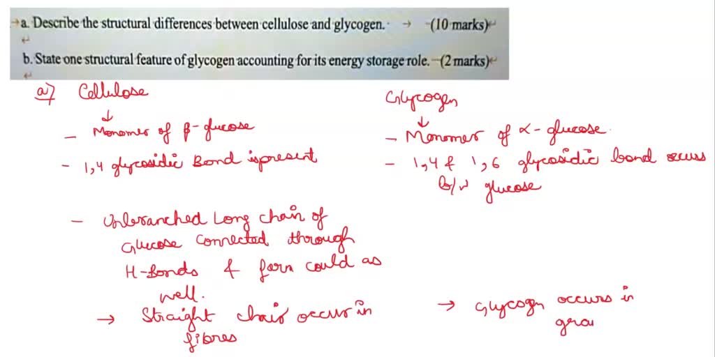 SOLVED: Describe the structural differences between cellulose and glycogen. (10 marks) b. State ...