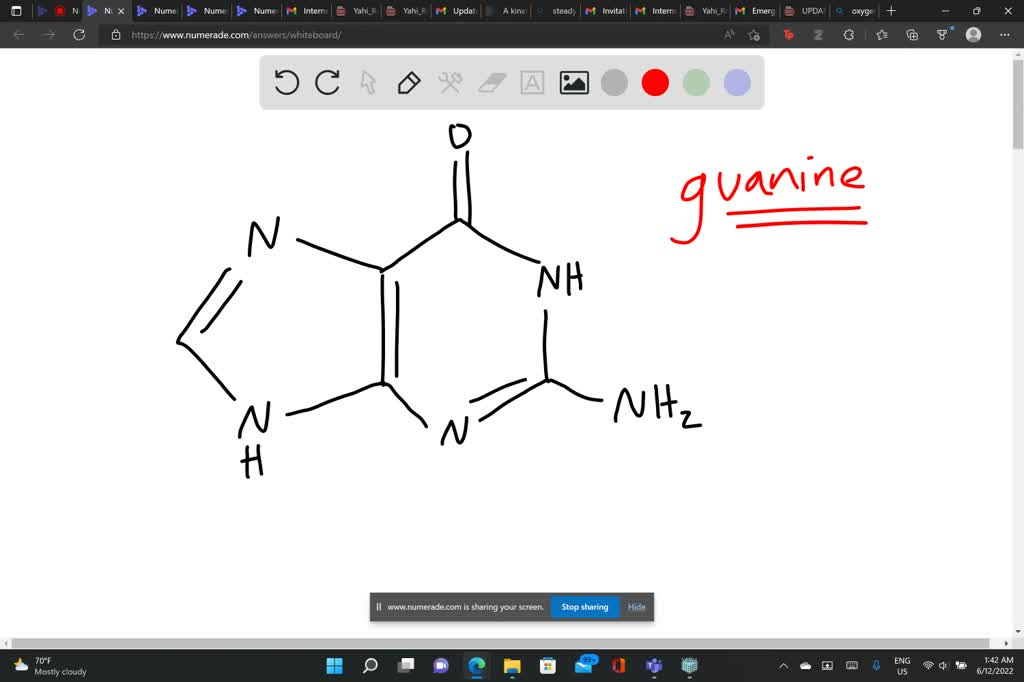 SOLVED: Identify structure of guanine