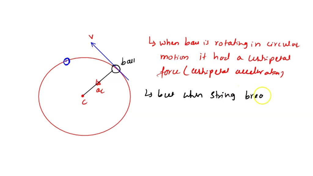 SOLVED: A ball is whirled on a string, then the string breaks. What ...