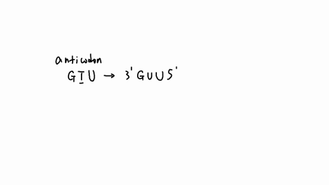 4 the wobble rules for trna mrna pairing shown below if we...