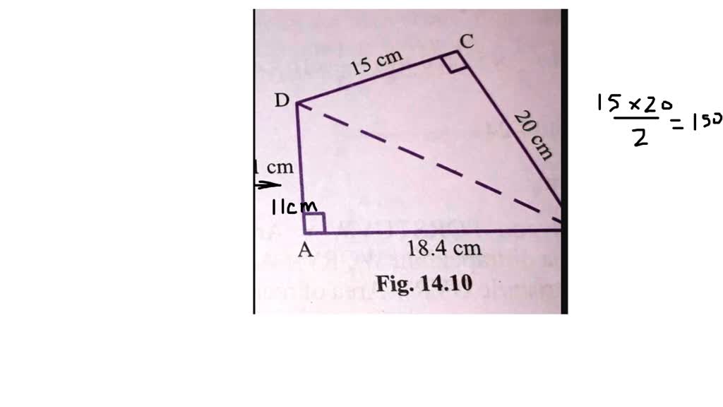 Quadrilateral Area