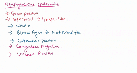 Make a flow chart for all gram positive cocci staphylococcus...