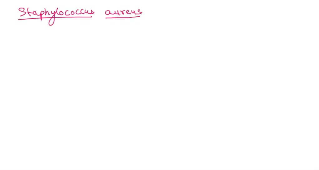 SOLVED: Microbiology: Flow Chart to Identify 4 Organisms ...