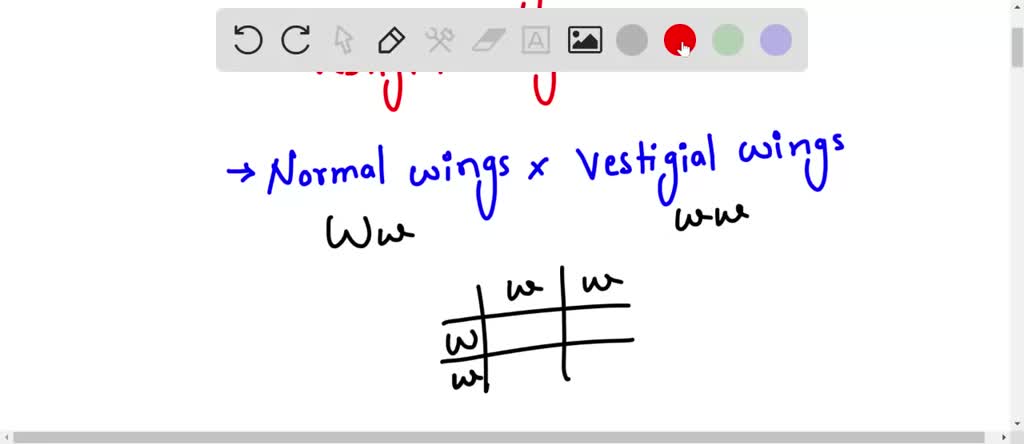 SOLVED: 4. In fruit flies normal wings (W) is dominant over vestigial ...
