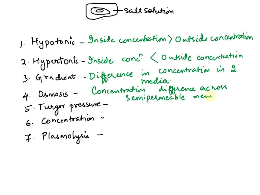 with the help of an experiment explain the observation when a ...