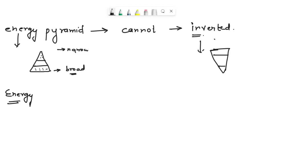 SOLVED: Which energy pyramid cannot be inverted? a. pyramid of numbers ...