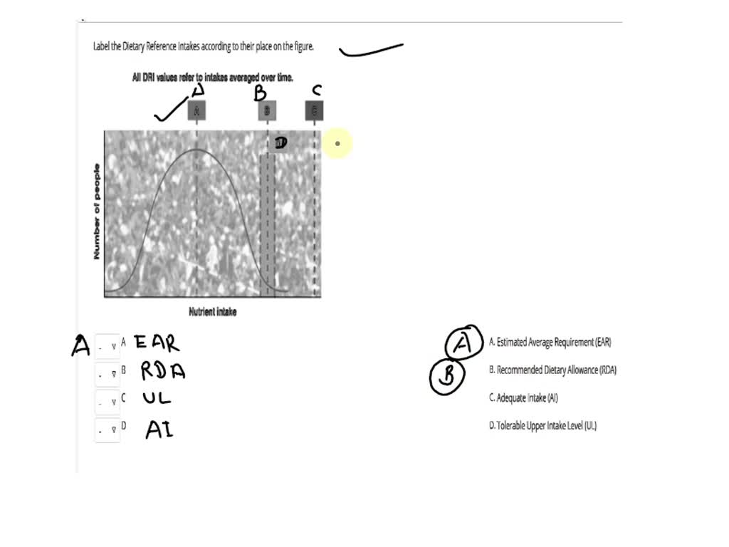 SOLVED: Label the Dietary Reference Intakes according to their place on ...