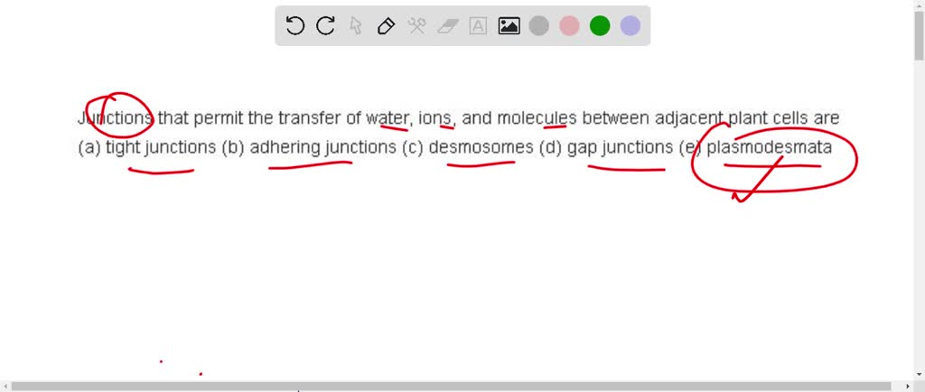 SOLVED: In plants, this type of cell connection, lined by the cell ...